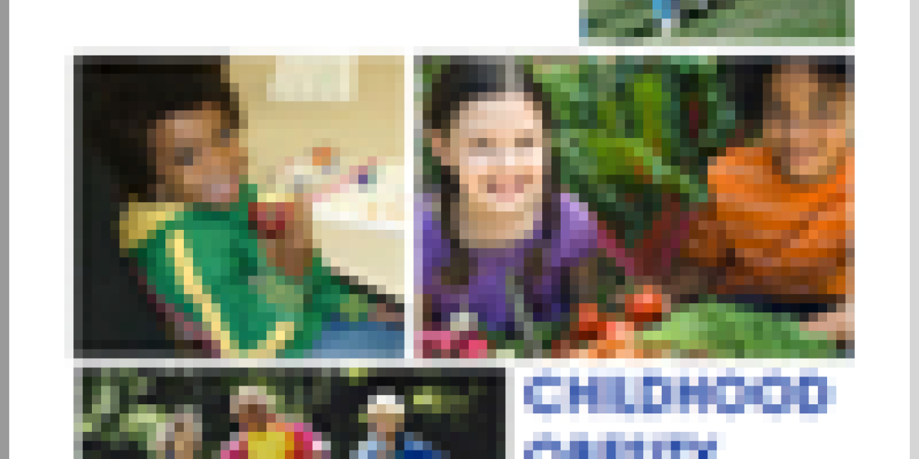 Childhood Obesity Community Action Plan (2012) | HealthSpark Foundation