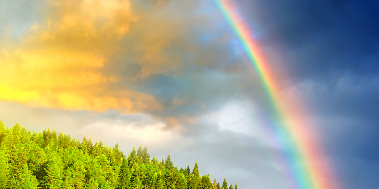 Community of Practice: Building Community Leadership | HealthSpark ...