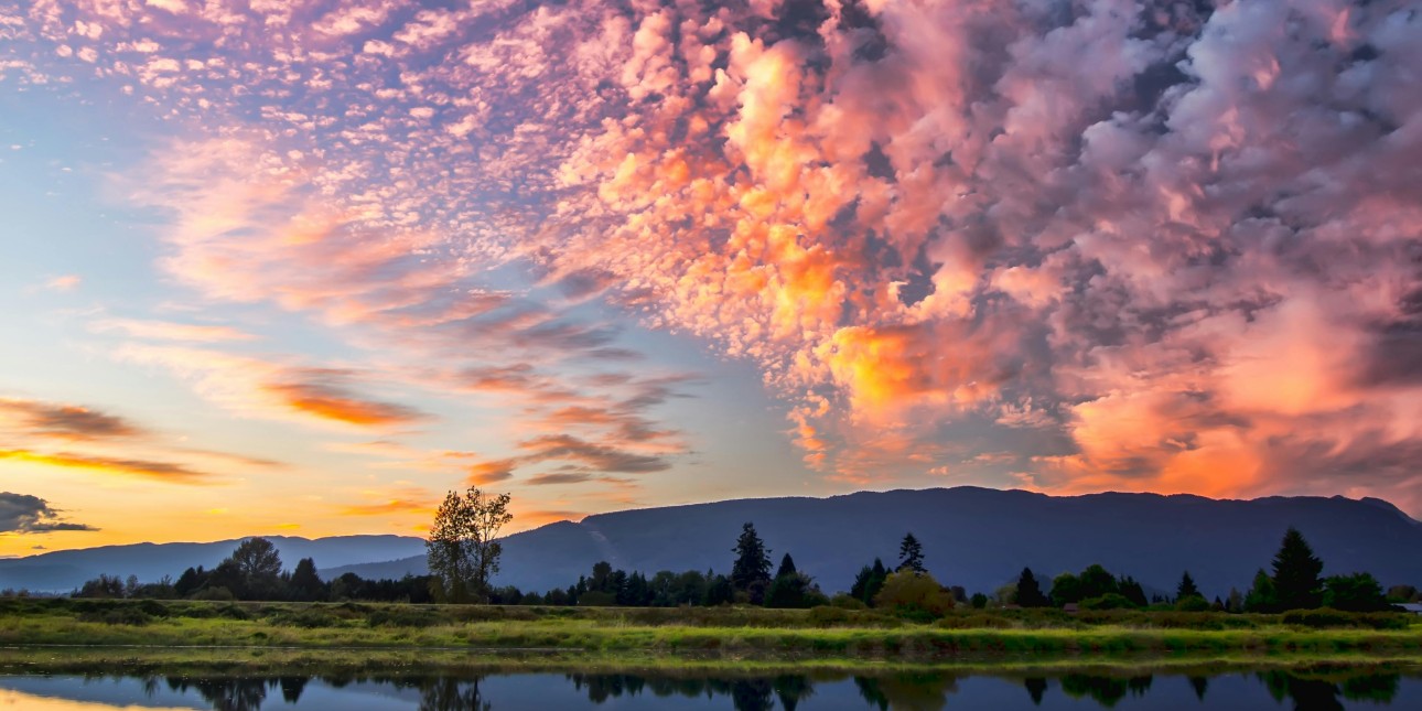 Announcing Our First Grant Recipients from the Rapid Response Fund for ...